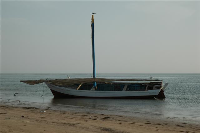 La Gouira: une ville abandonnée ? | SkyscraperCity Forum